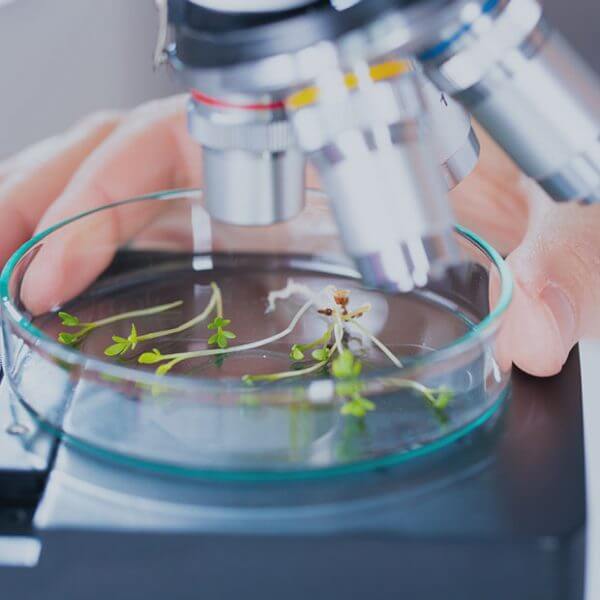 A Level Biology Online Course - Association of Learning